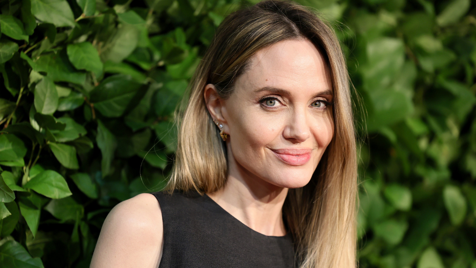 6 Times Angelina Jolie Went Nearly Makeup-Free And Looked Flawless