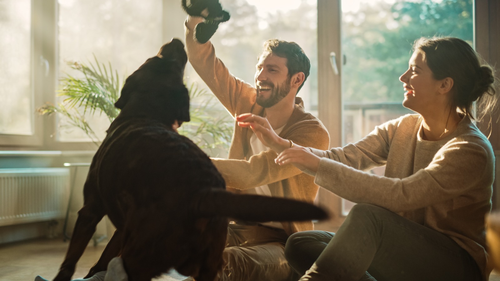 Being Attracted To Dog Owners May Be Rooted In Science - Why This ...