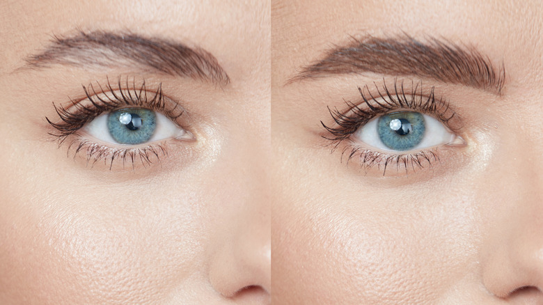 Everything You Need To Know About Brow Lamination