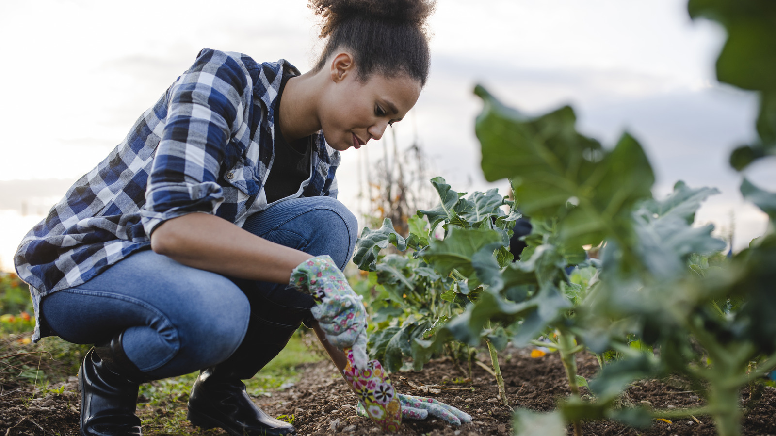 Gardening: The Unconventional Summer Workout Stretching Your Muscles In ...
