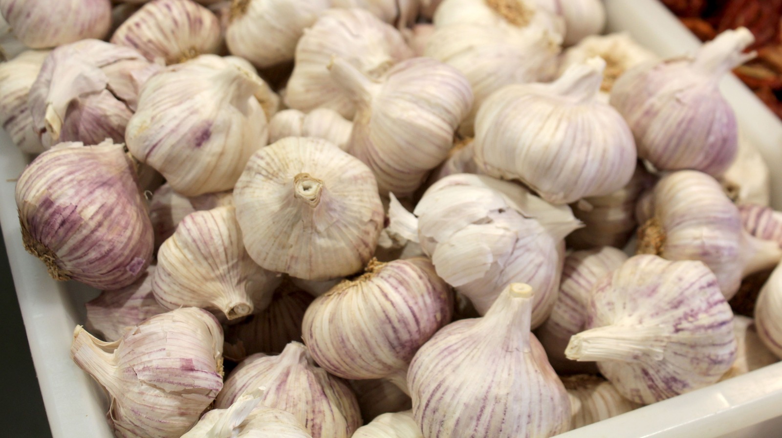 Garlic Girls Rejoice - Here Are All The Ways Garlic Is Great For Your ...