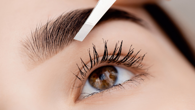 How To Regrow Your Eyebrows After Years Of Over-Tweezing