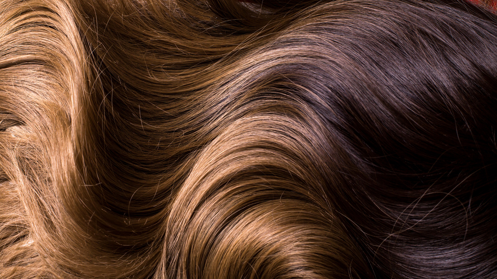 The Low-Key Difference Between Babylights And Highlights