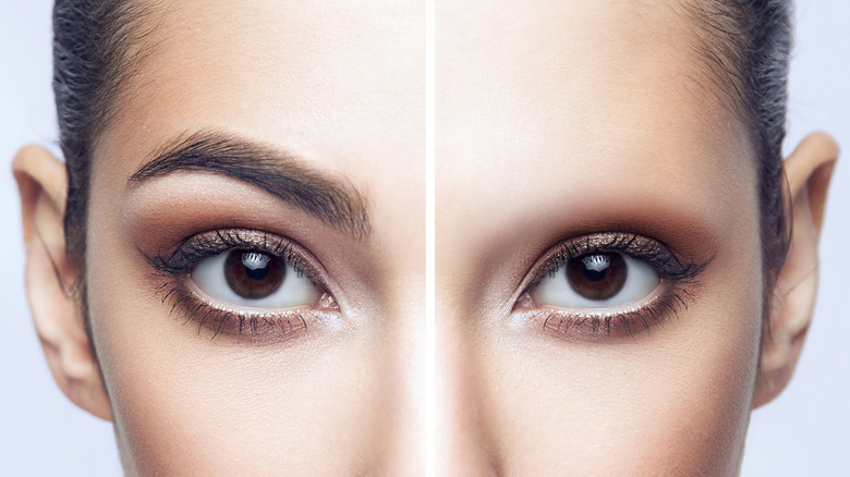 What To Consider Before You Shave Your Eyebrows Off What To Consider Before You Shave Your Eyebrows Off